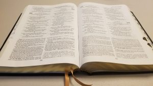 The NABRE Psalms: A Hidden Gem – Catholic Bible Talk