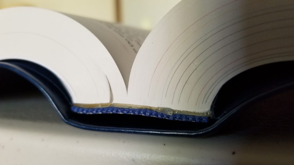 First Look: Great Adventure Bible (RSV-2CE) from Ascension Press ...