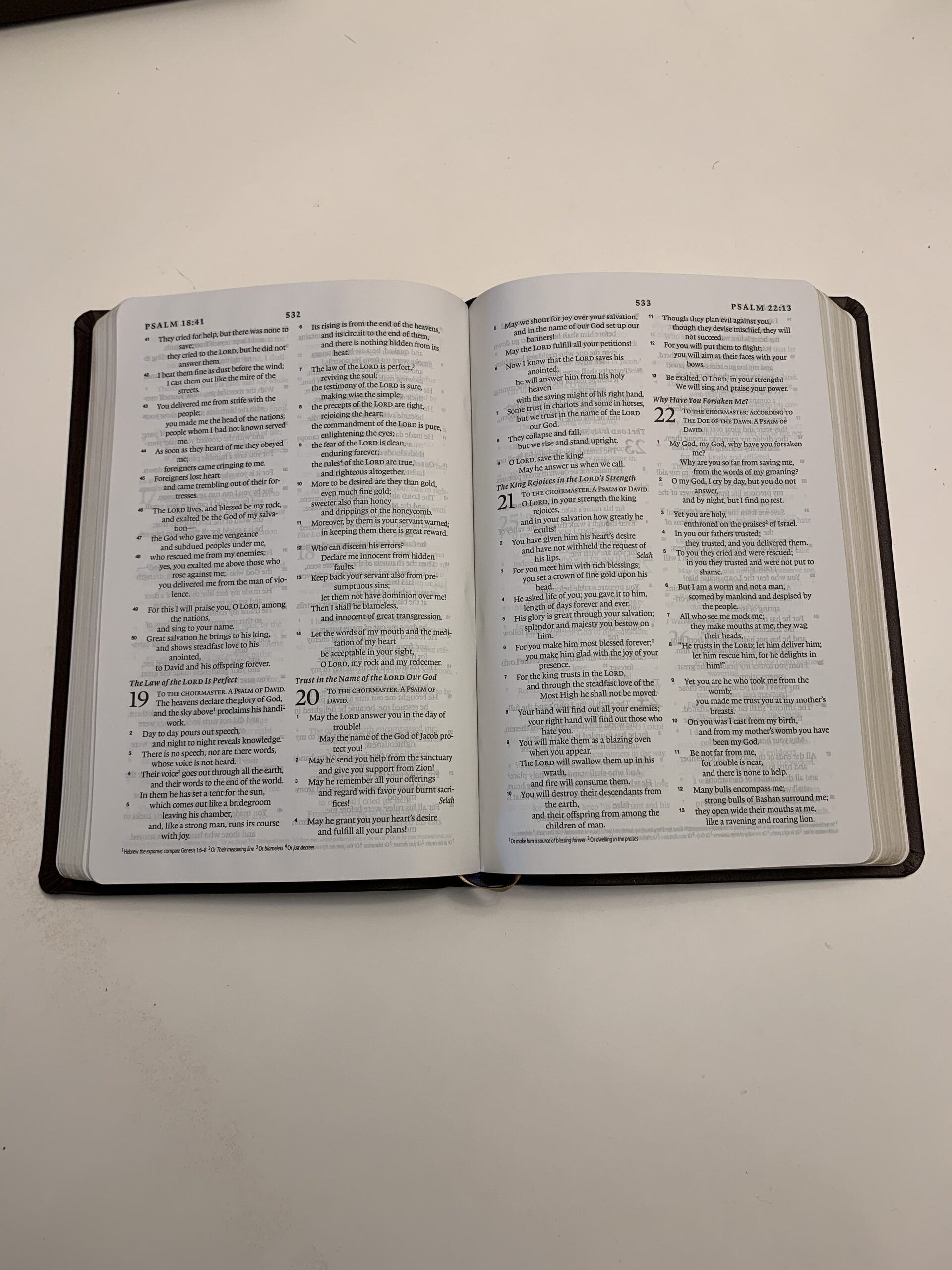 FIRST LOOK: ESV-CE Bonded Leather (Mahogany) – Catholic Bible Talk