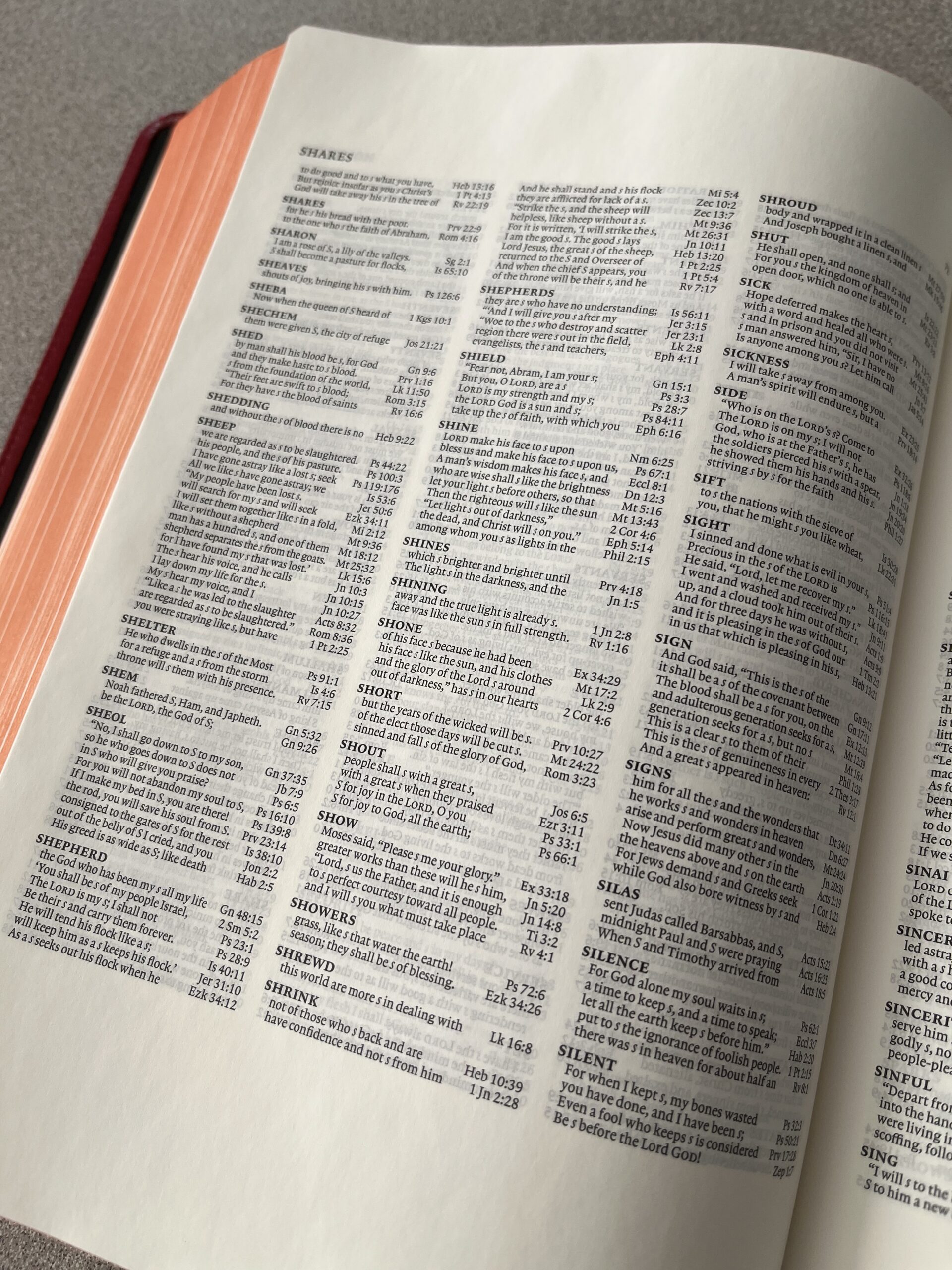 ESV Diadem w/ Apocrypha (Red Calfskin Leather Edge-Lined) Review ...