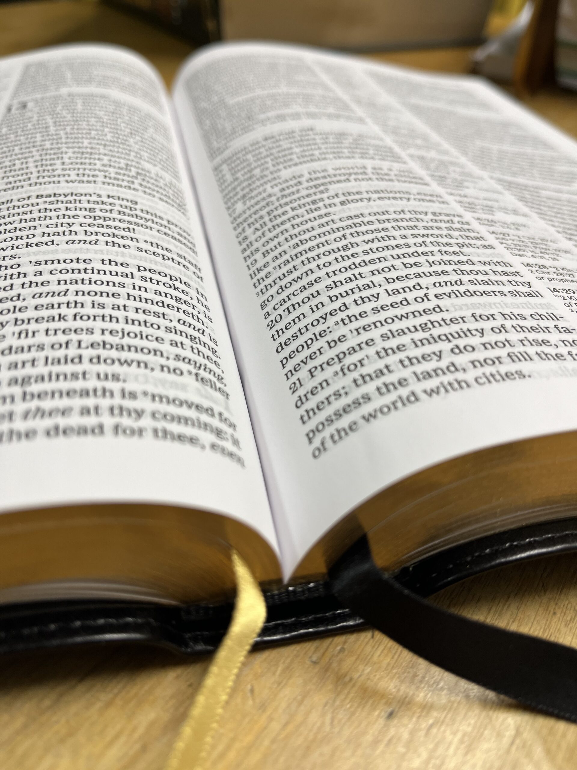 First Look: Thomas Nelson KJV Center-Column Reference Bible w/Apocrypha ...