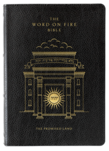 Cover Photo and Initial Information for Word on Fire Bible Volume 4 ...