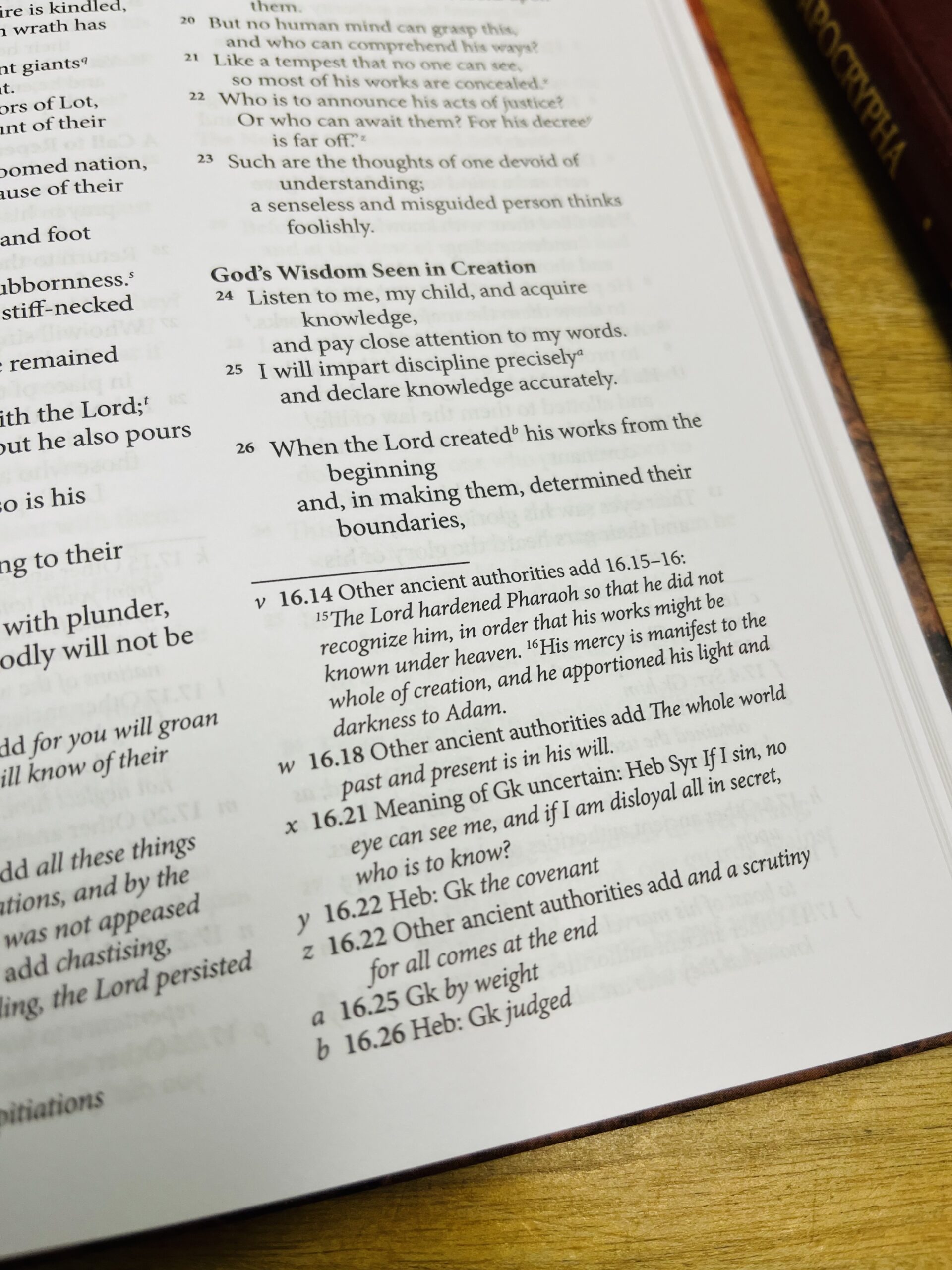 Review: Cambridge NRSVUE Apocrypha – Catholic Bible Talk