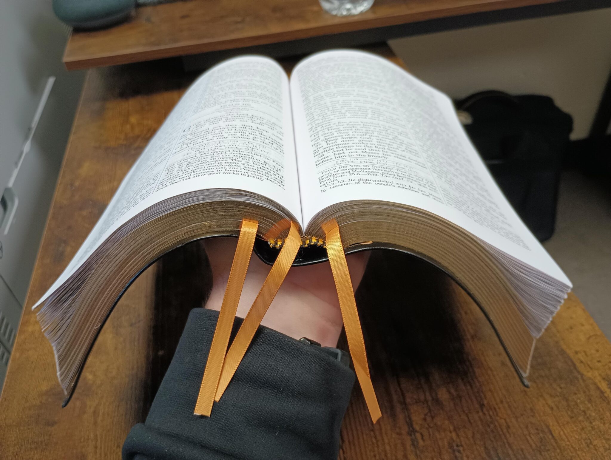 Review: Douay-Rheims Large Print Edition from TAN Books — Guest Post by ...