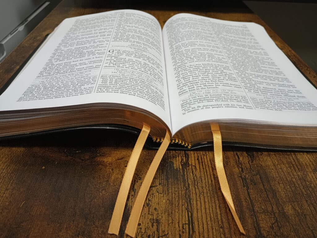 Review: Douay-Rheims Large Print Edition from TAN Books — Guest Post by ...