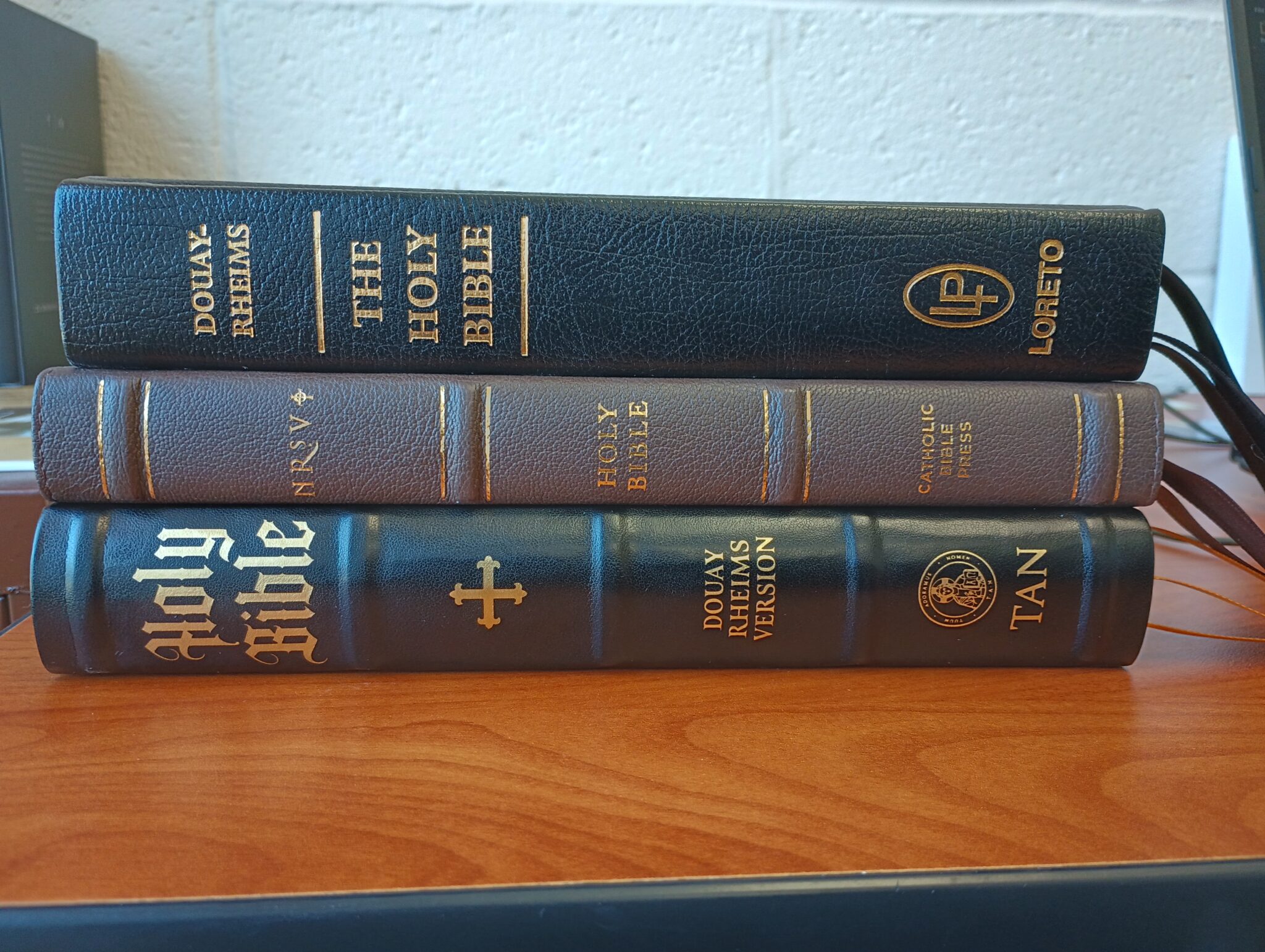 Review: Douay-Rheims Large Print Edition from TAN Books — Guest Post by ...