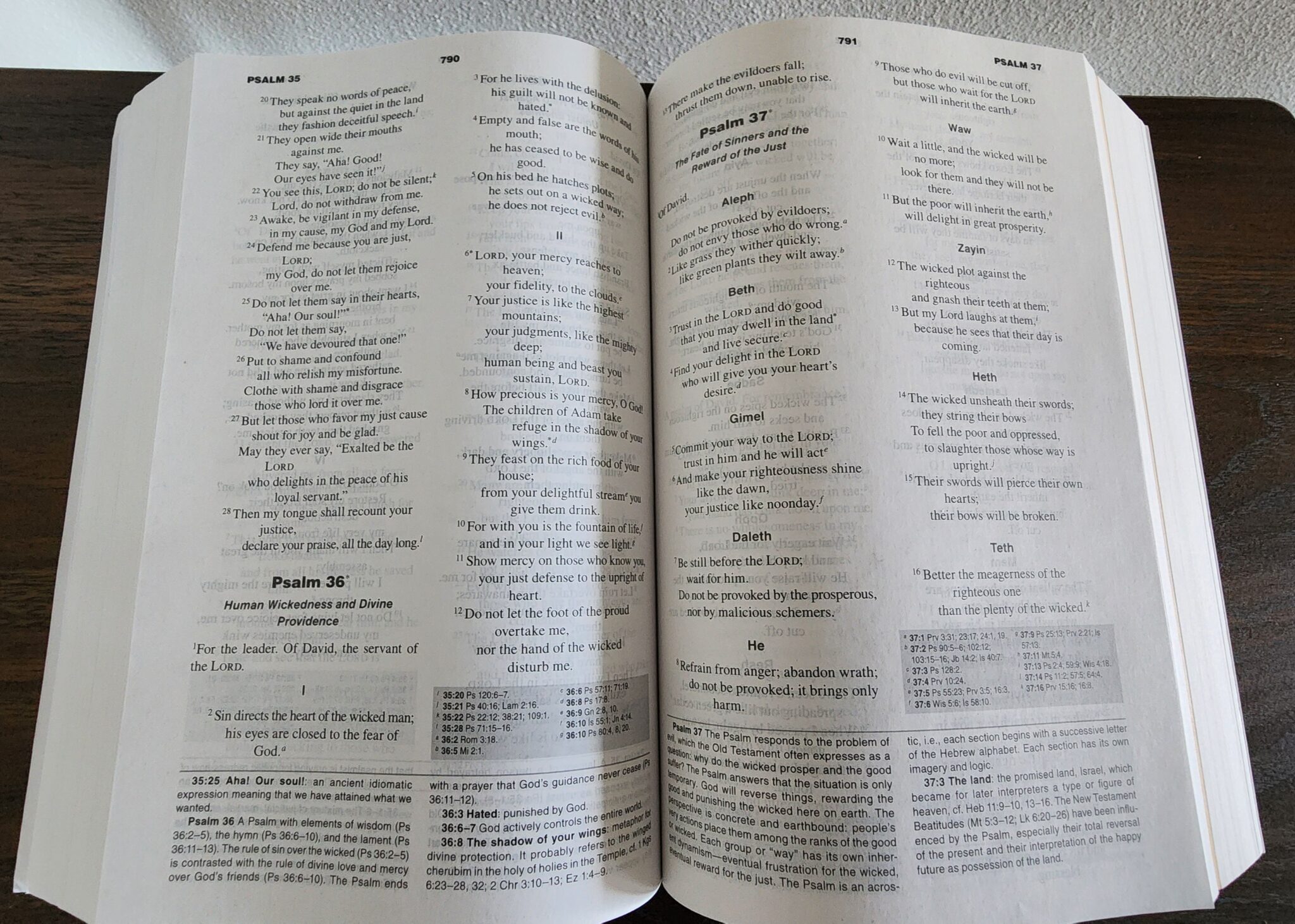 Quick Look: Saints Devotional Bible (NABRE) from Our Sunday Visitor ...