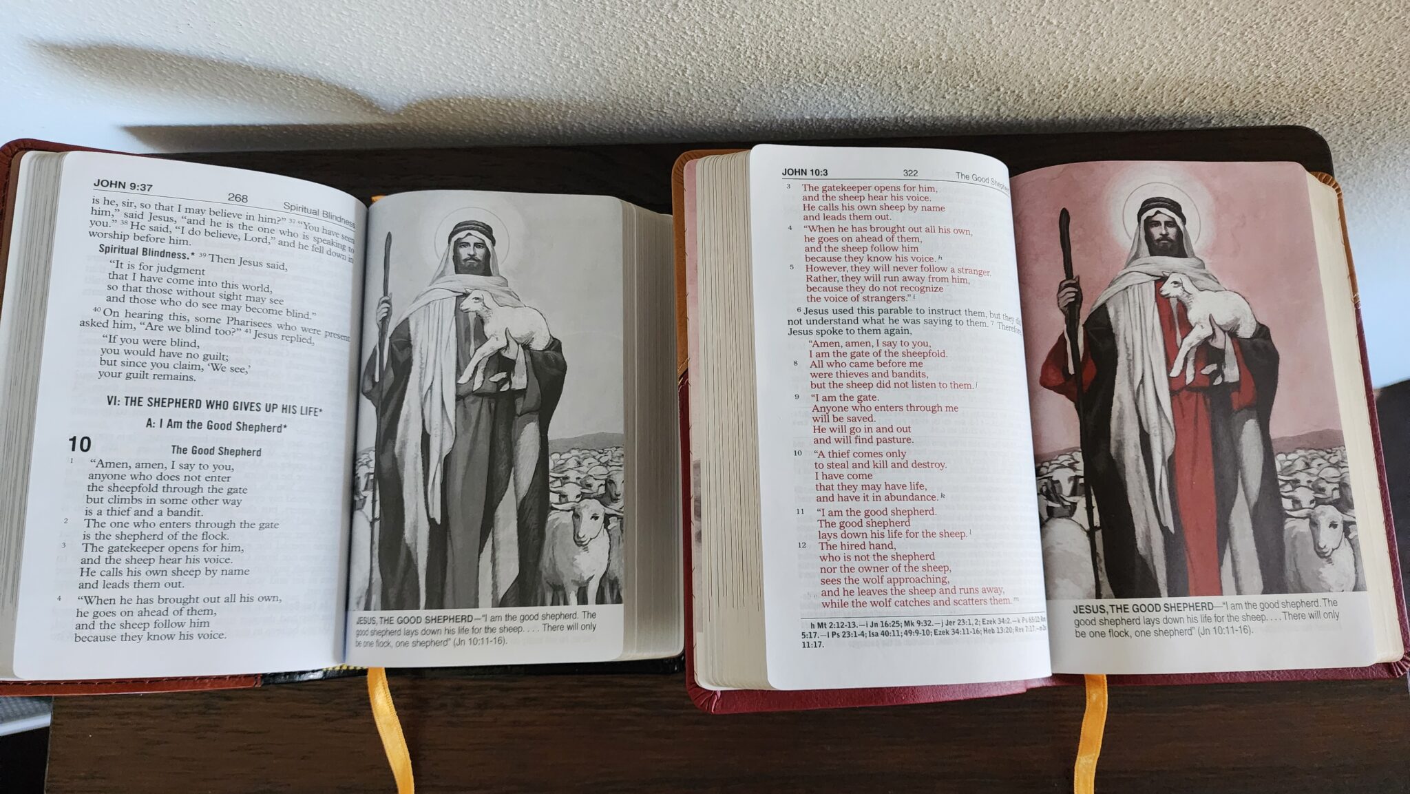 Review: New Catholic Bible New Testaments (and Psalms) – Catholic Bible ...