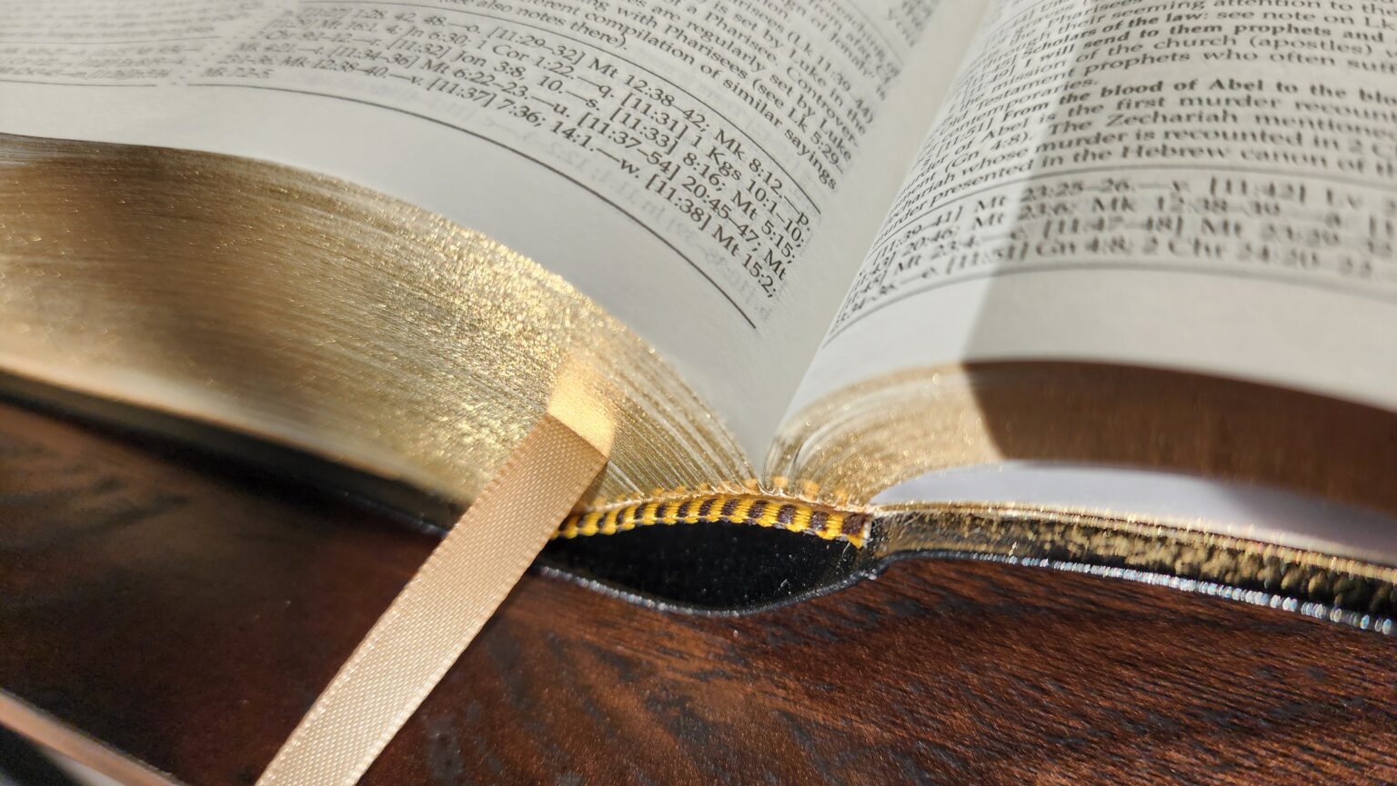 Review: St. Benedict Press Black Leatherette NABRE – Catholic Bible Talk