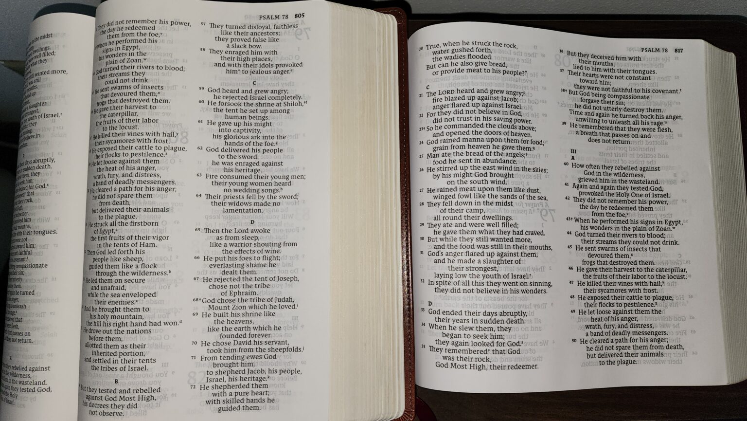 Review: NABRE XL from Catholic Bible Press – Catholic Bible Talk