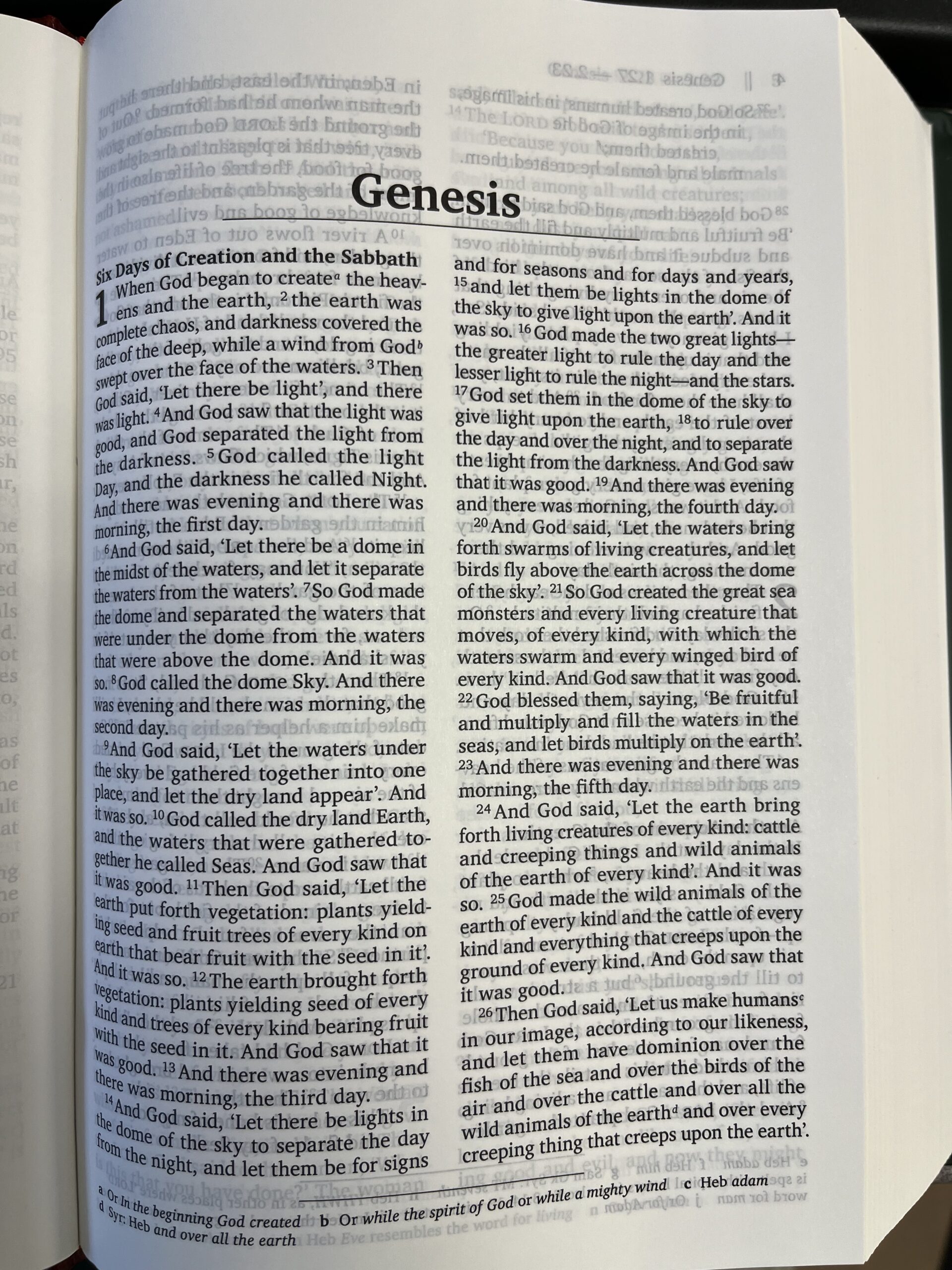 Review: NRSVUE Popular Text Edition w/ Apocrypha – Catholic Bible Talk