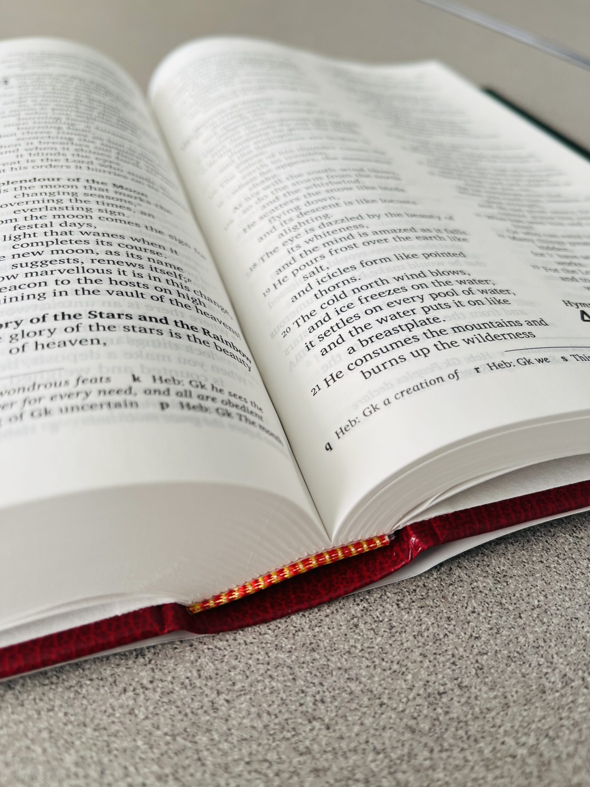 Review: NRSVUE Popular Text Edition w/ Apocrypha – Catholic Bible Talk