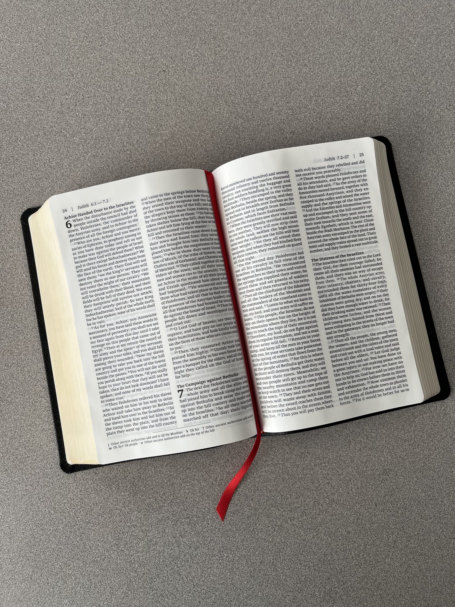 Review: NRSVUE Popular Text Bible w/ Apocrypha Split Calf Leather ...
