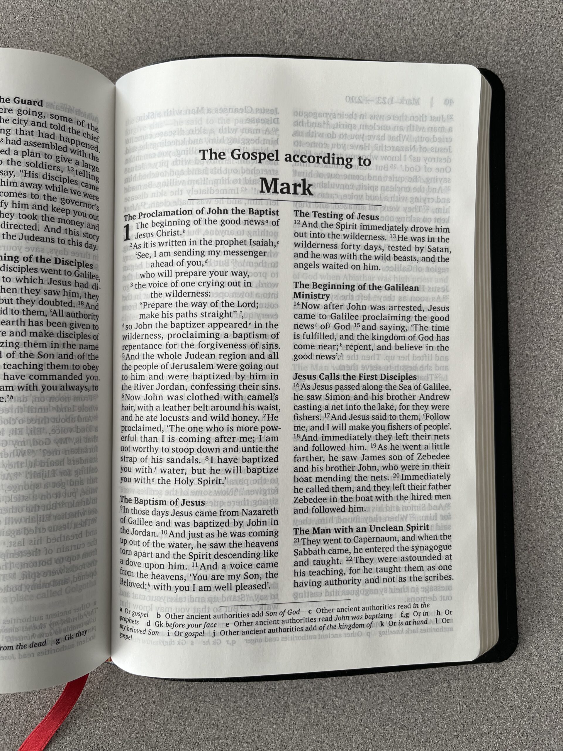 Review: NRSVUE Popular Text Bible w/ Apocrypha Split Calf Leather ...