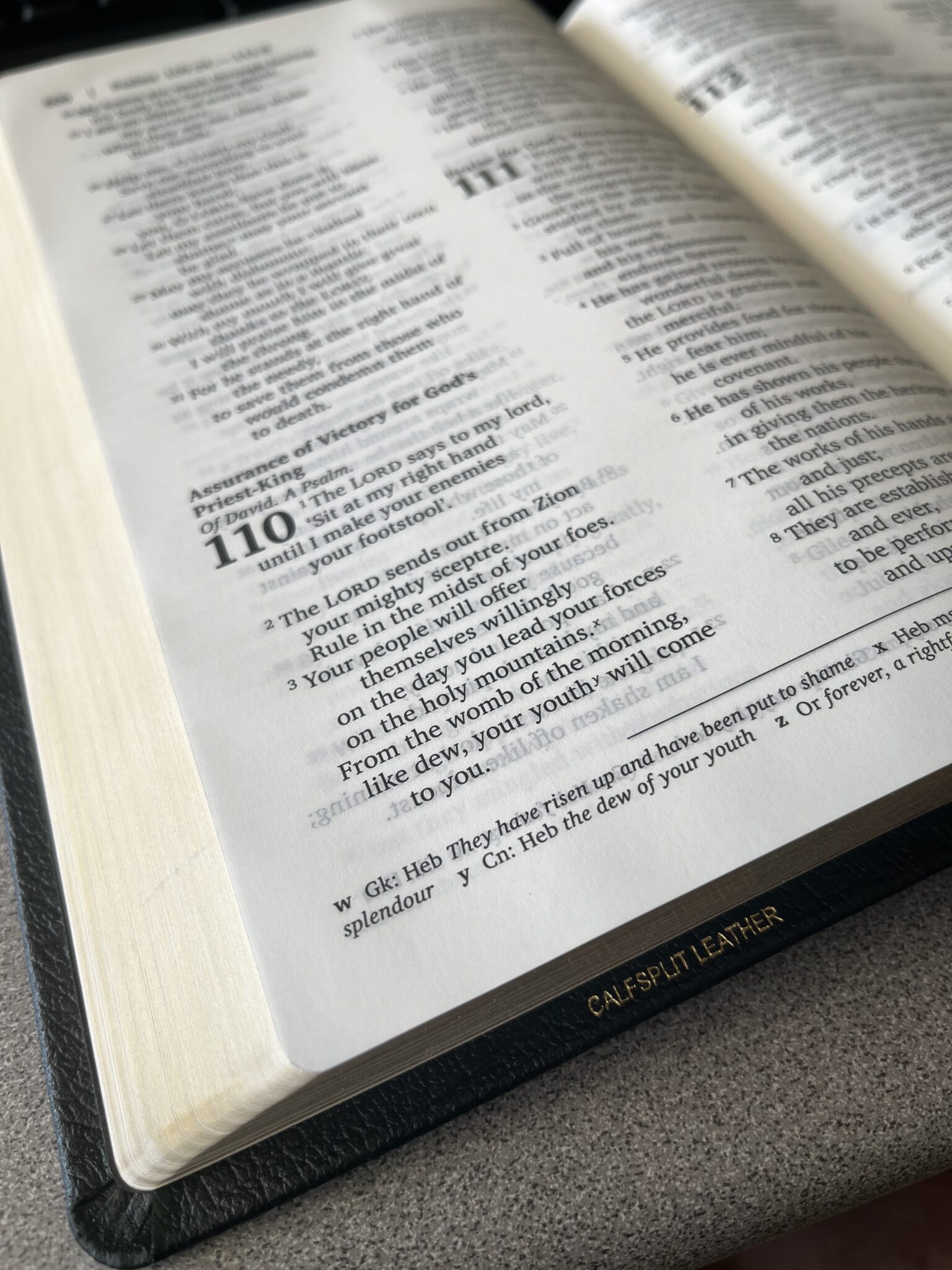Review: NRSVUE Popular Text Bible w/ Apocrypha Split Calf Leather ...