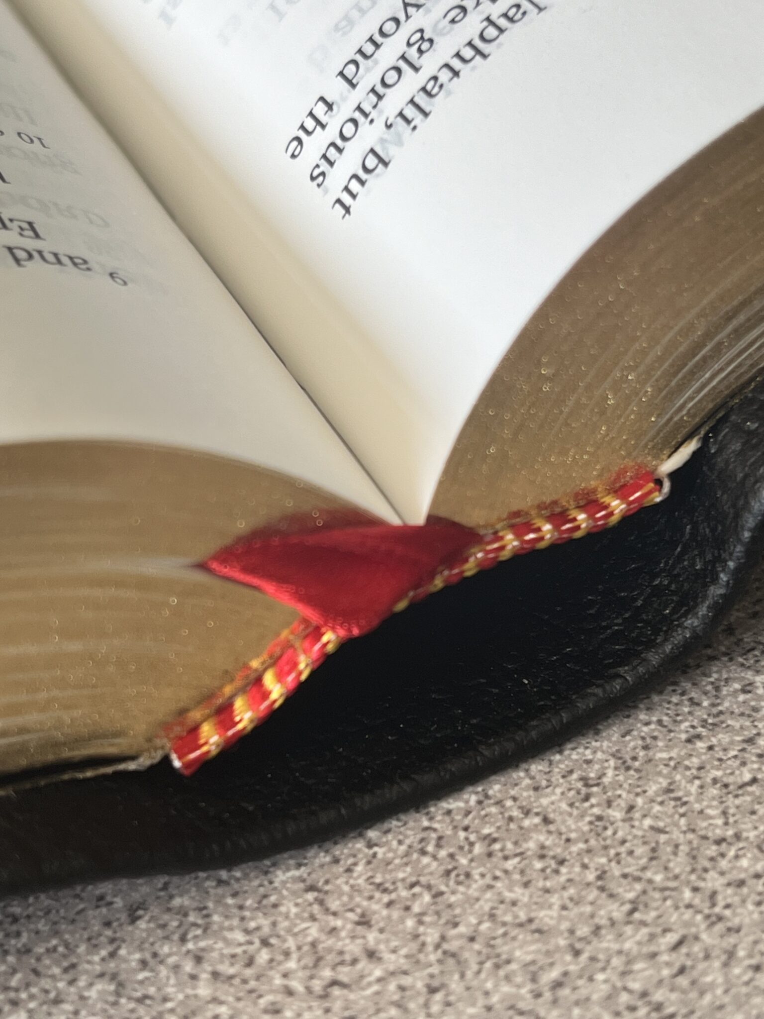 Review: NRSVUE Popular Text Bible w/ Apocrypha Split Calf Leather ...