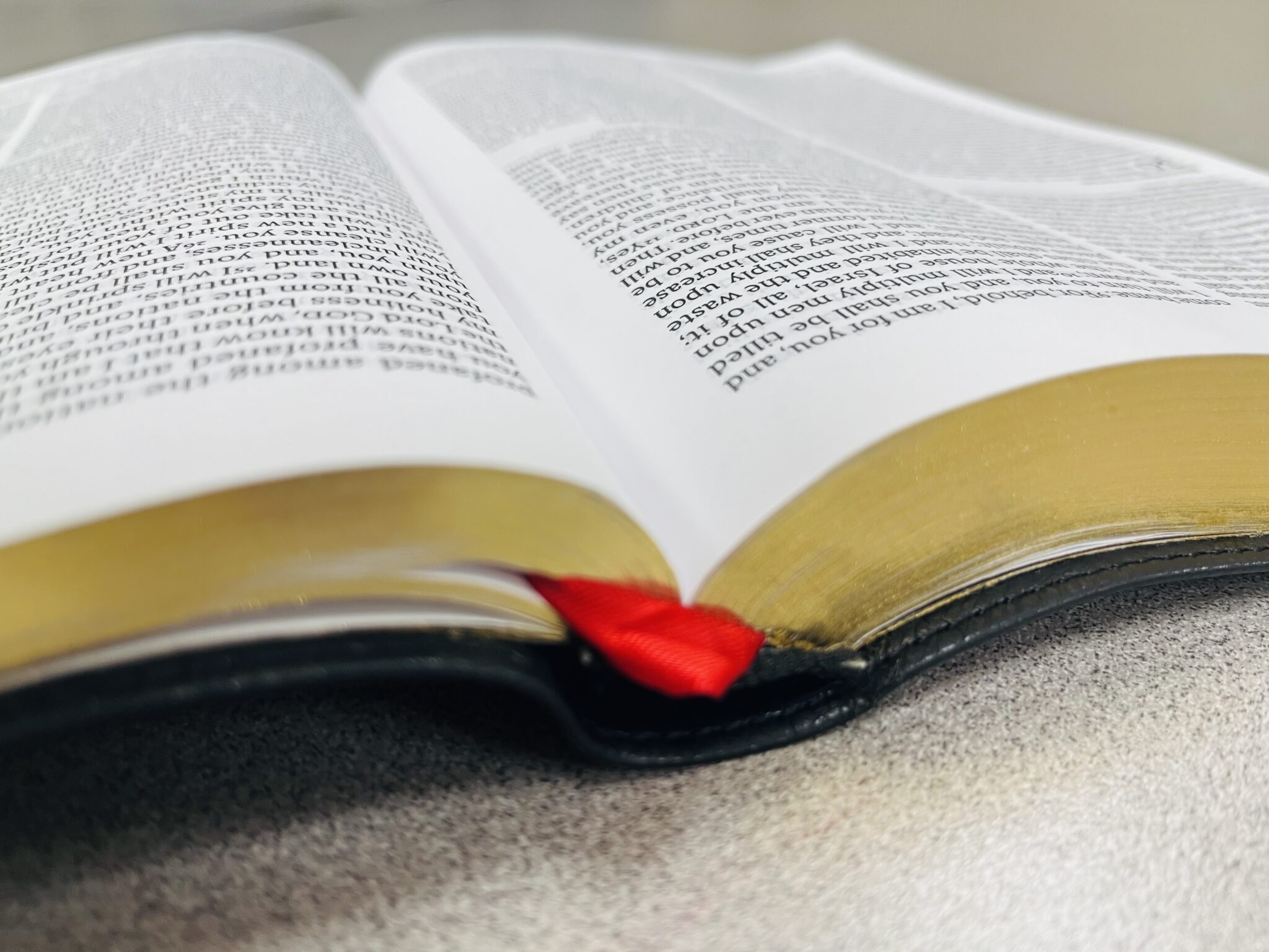 First Look: CBP RSV-2CE Large Print Thinline – Catholic Bible Talk