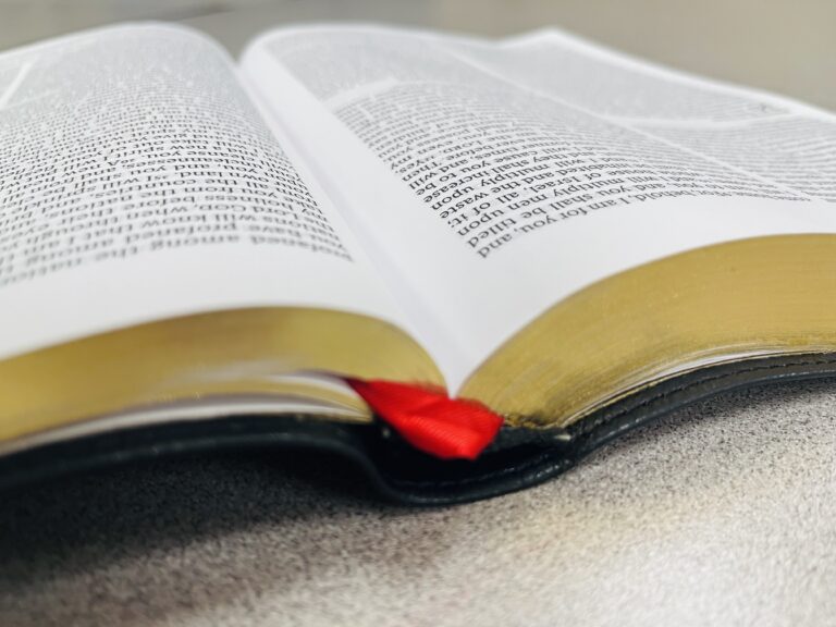 First Look: CBP RSV-2CE Large Print Thinline – Catholic Bible Talk