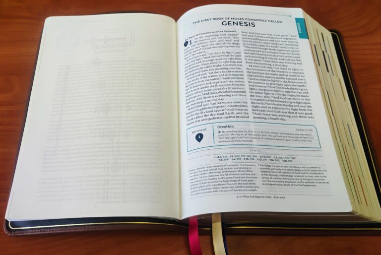 Great Adventure Catholic Bible Second Edition, Premium Goatskin Review ...