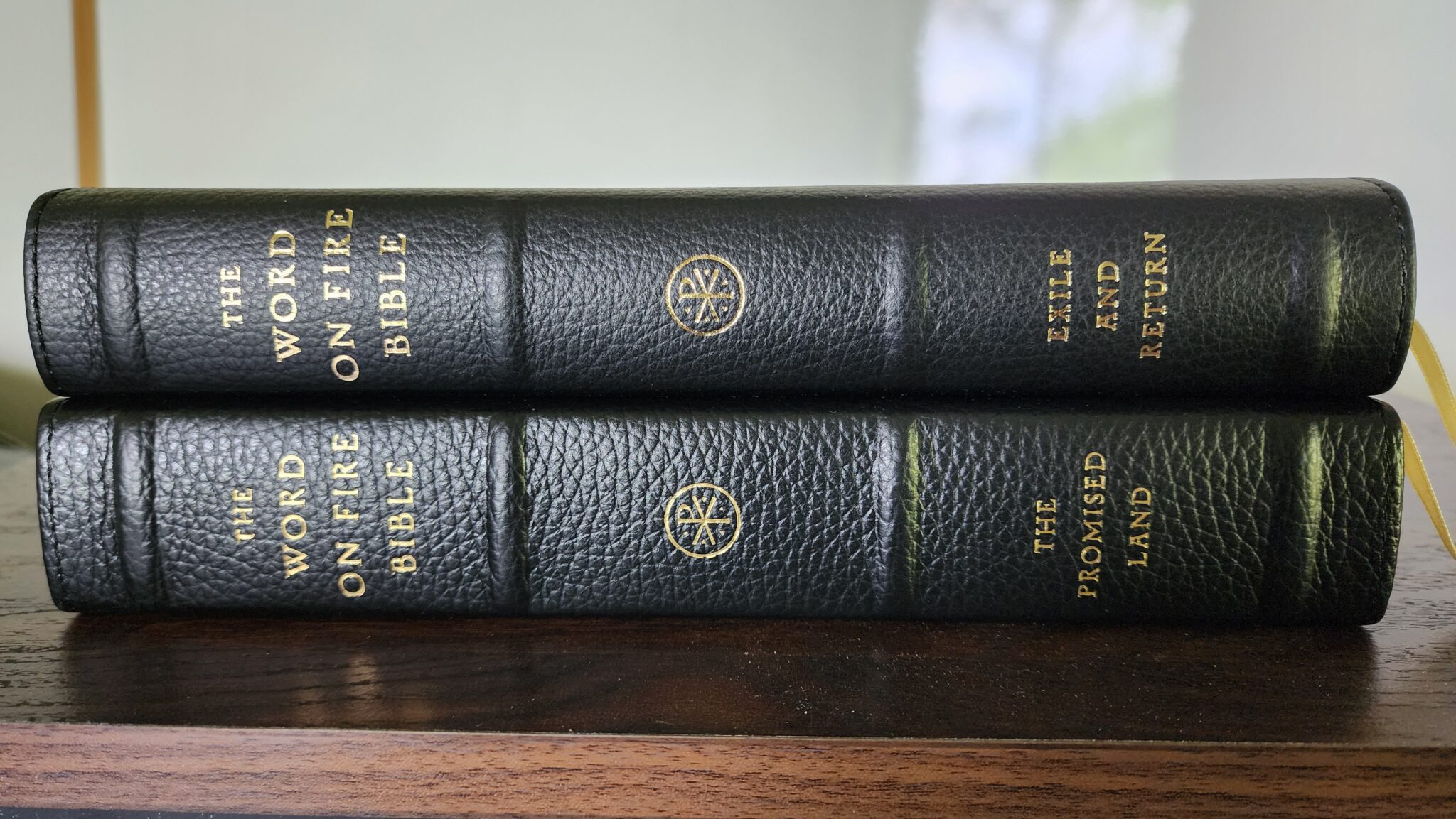 First Look: Word on Fire Bible Volume V – Exile and Return – Catholic ...