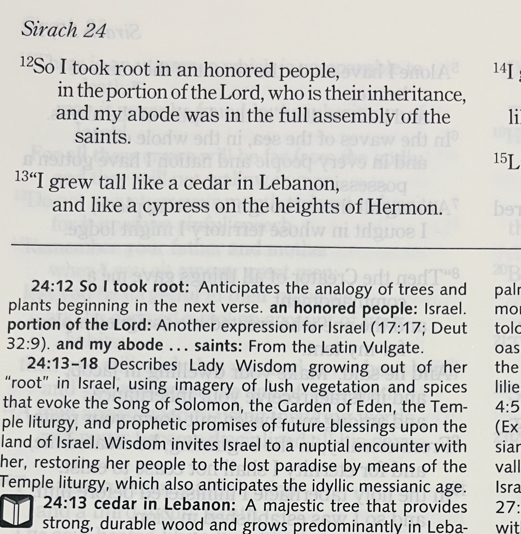 Update: Sirach 24 – Catholic Bible Talk